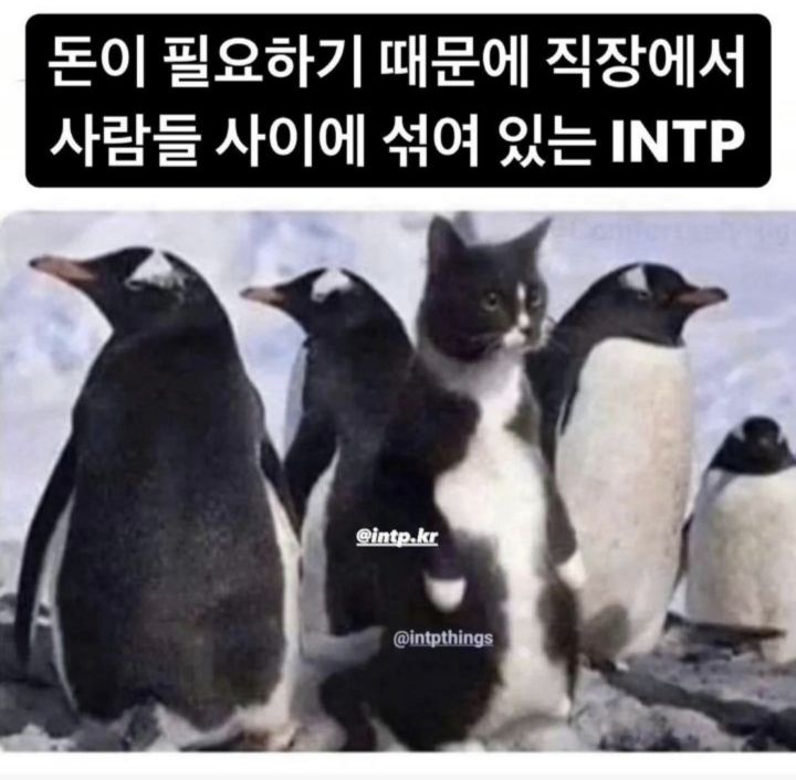 해연갤 애니 뭔가 이 짤 서태웅 같음 ㅋㅋㅋㅋㅋ