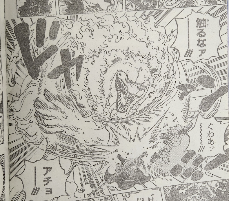 해연갤 - 애니 - 원피스 ㅅㅍ 전개 개미쳤다.. 로우