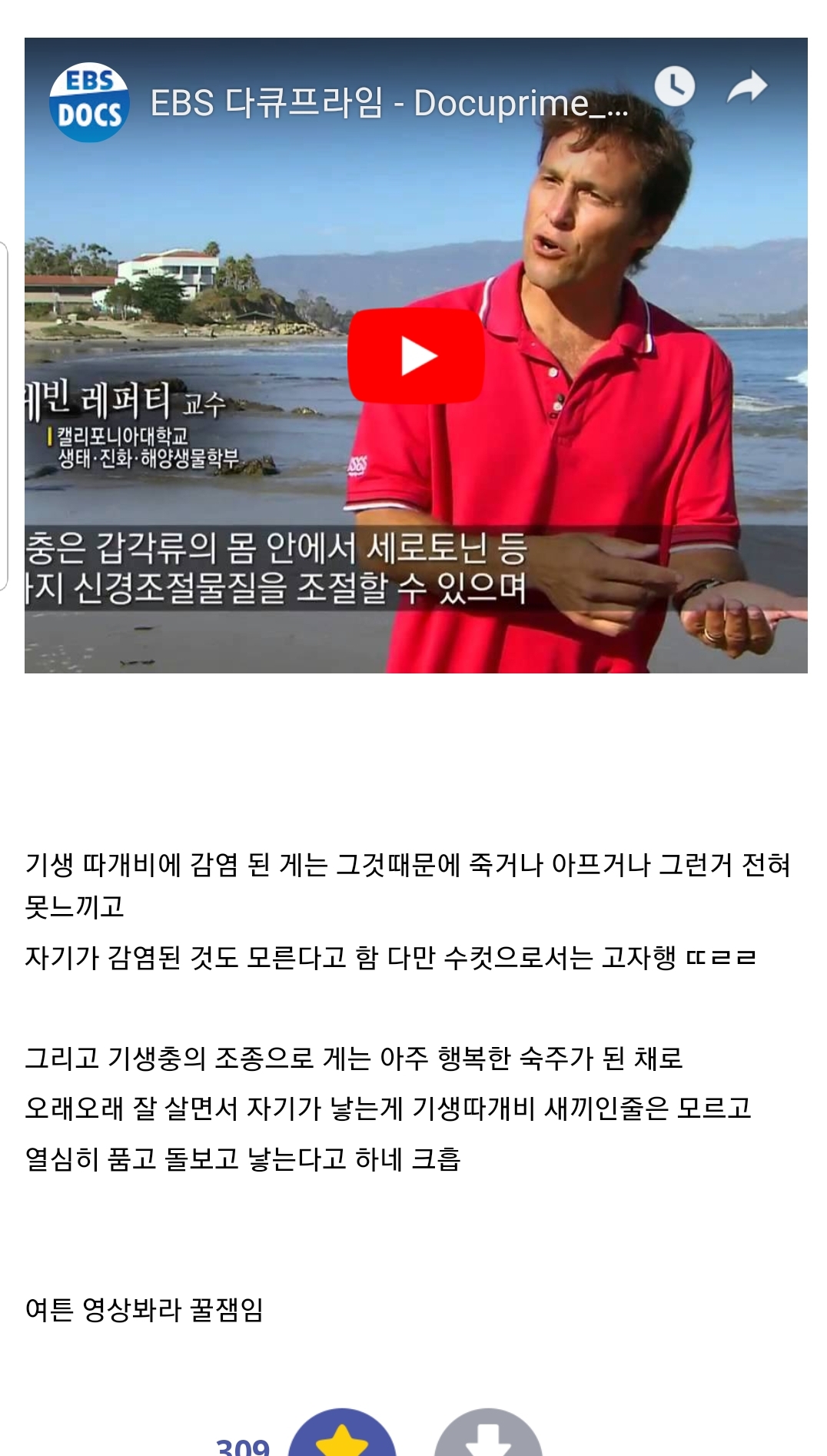 해연갤 오랜만에 생각나서 따개비버스 갤플 시작글 찾아옴
