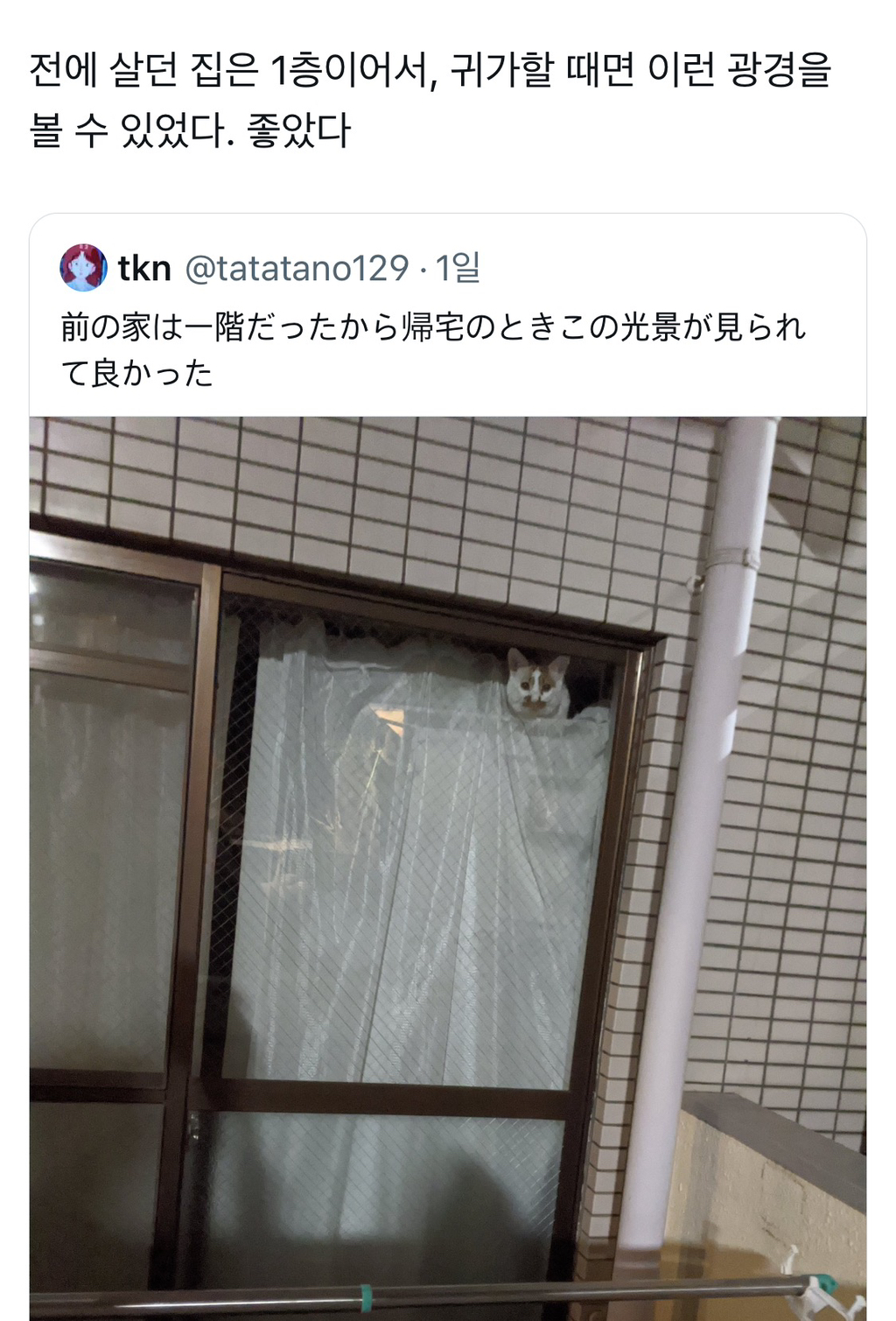 해연갤 ㅍ 1층에 살았을때의 장점